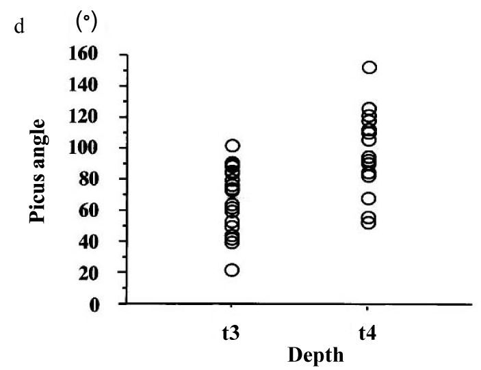 The assessing the left bronchial invasion of esophageal cancer in ...